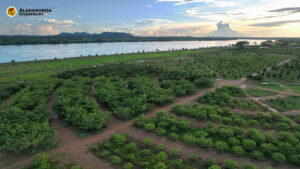 Features & Amenities : Alakananda RiverFront